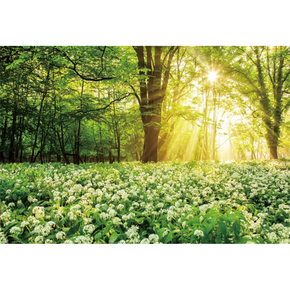 Spring Photo Backdrop Meadow Garden Grassland Park Flower Trees ...