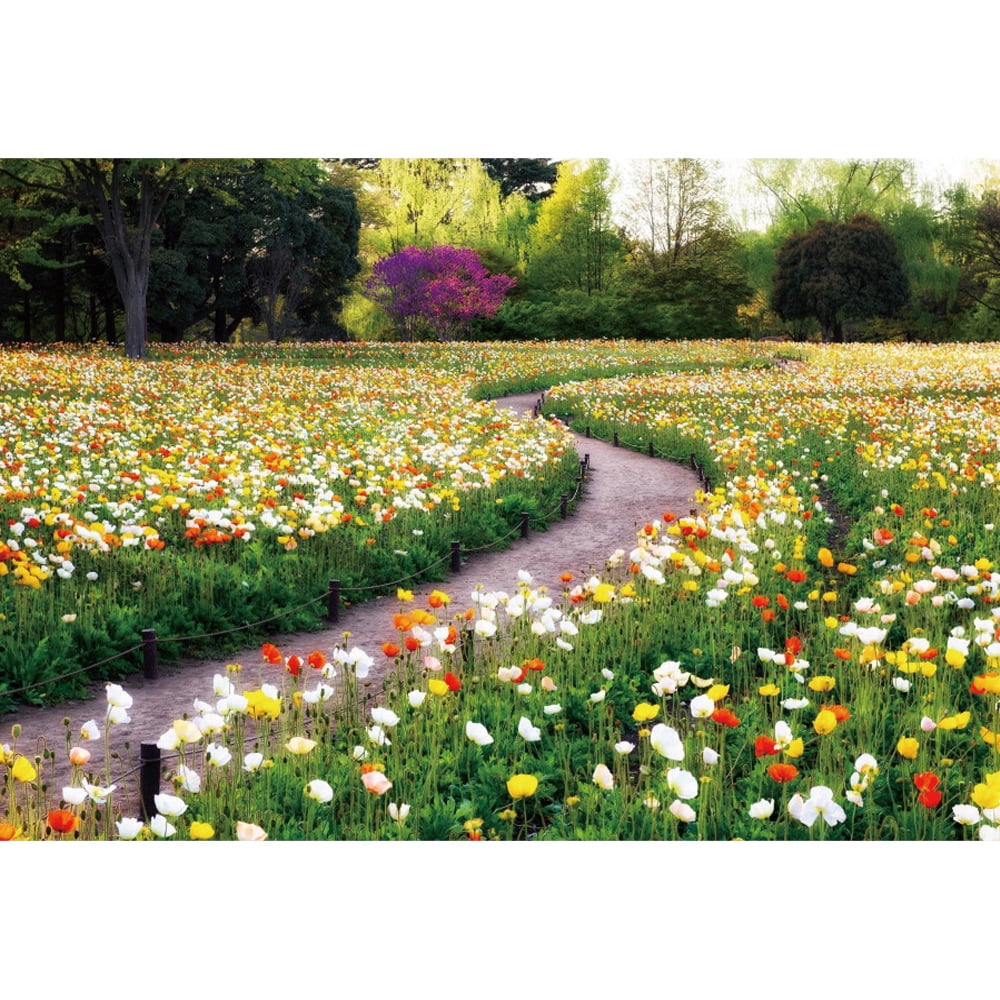 Spring Photo Backdrop Meadow Garden Grassland Park Flower Trees ...