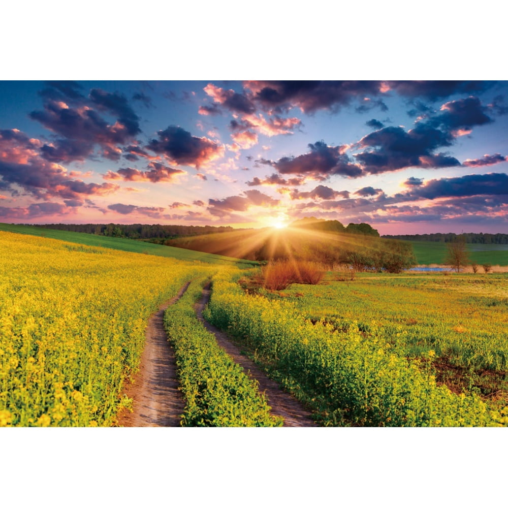 Spring Photo Backdrop Meadow Garden Grassland Park Flower Trees ...