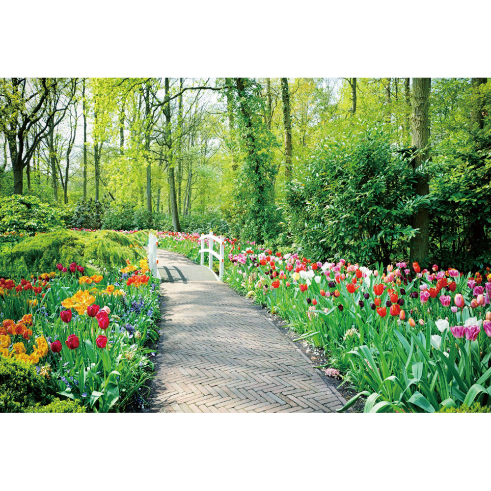 Spring Photo Backdrop Meadow Garden Grassland Park Flower Trees ...