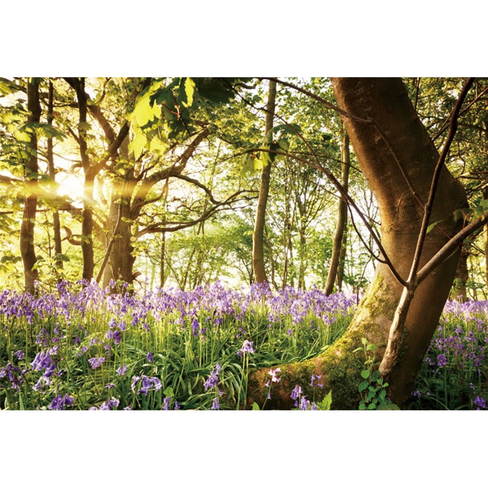Spring Photo Backdrop Meadow Garden Grassland Park Flower Trees ...