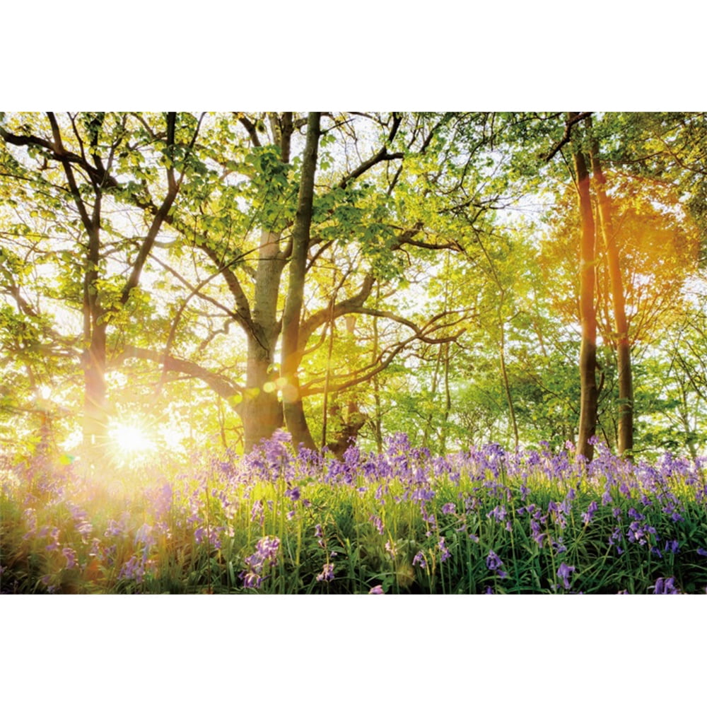 Spring Photo Backdrop Meadow Garden Grassland Park Flower Trees ...