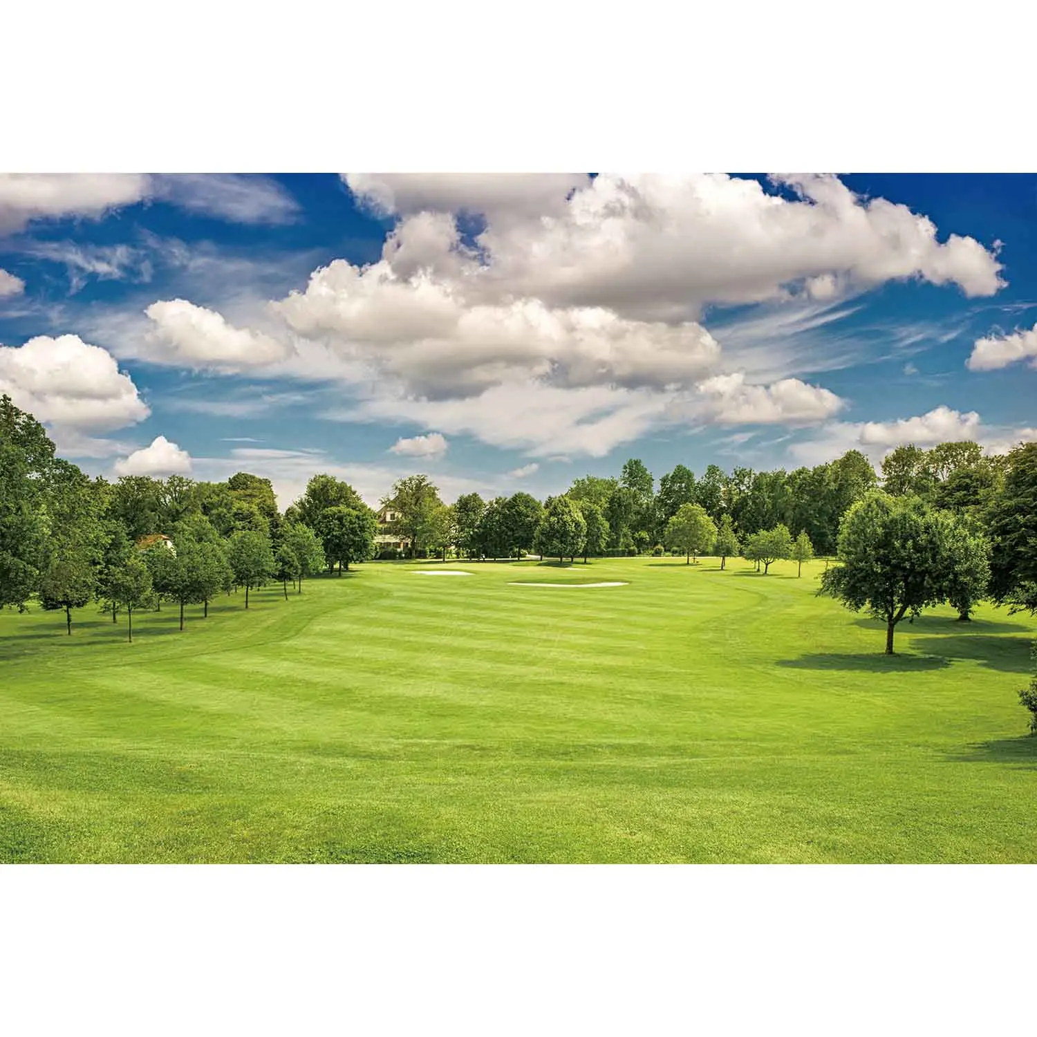 Spring Photography Backdrop Gre Forest Grass Gard Park Landscape Home ...