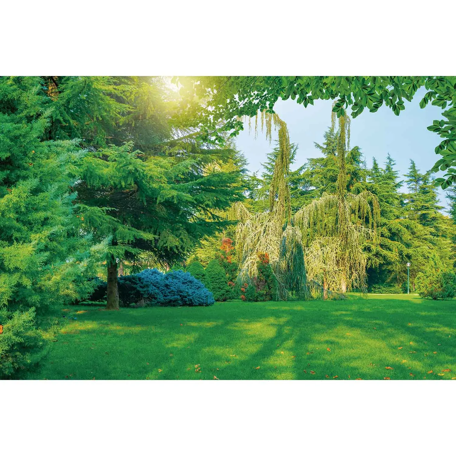 Spring Photography Backdrop Gre Forest Grass Gard Park Landscape Home ...