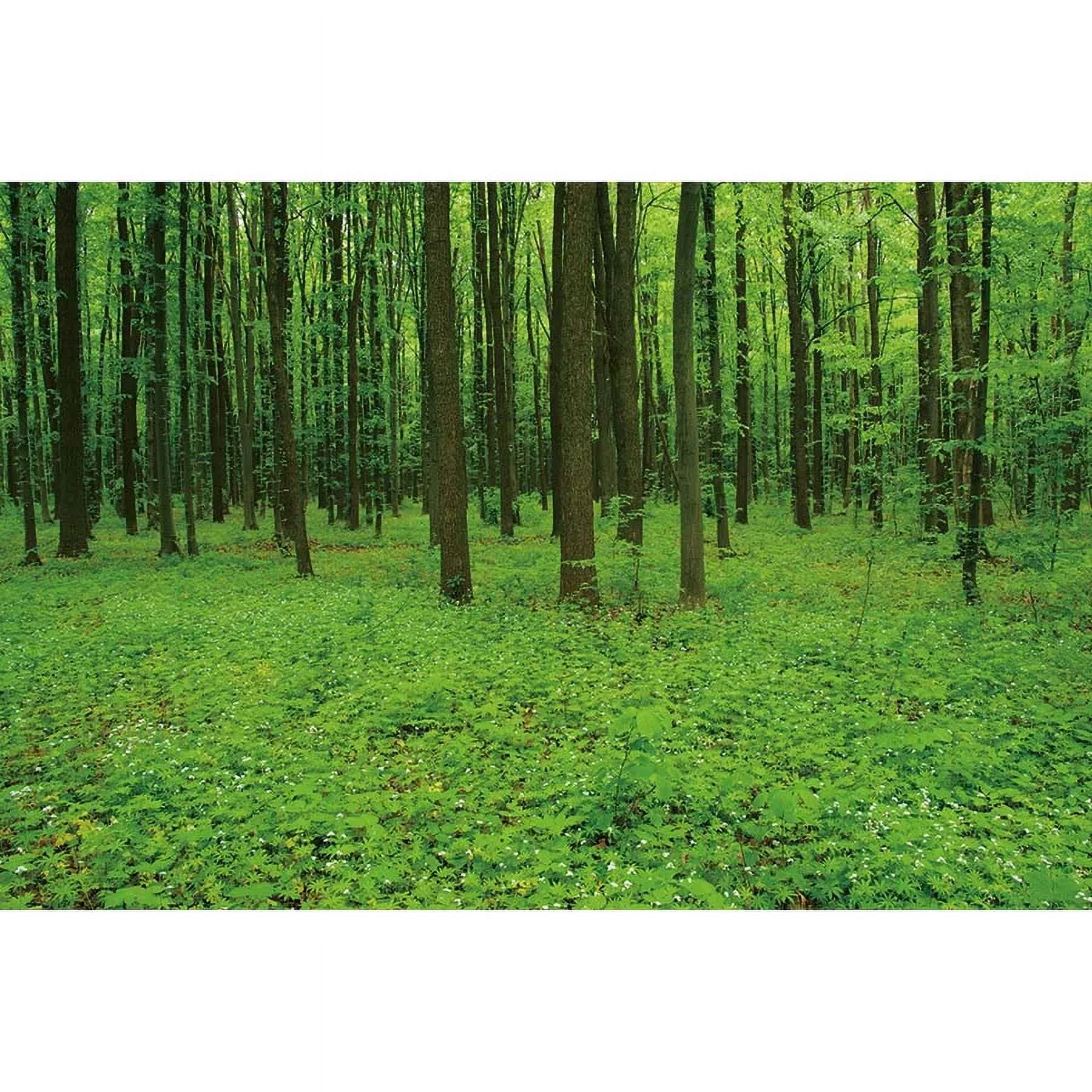 Spring Photography Backdrop Gre Forest Grass Gard Park Landscape Home ...