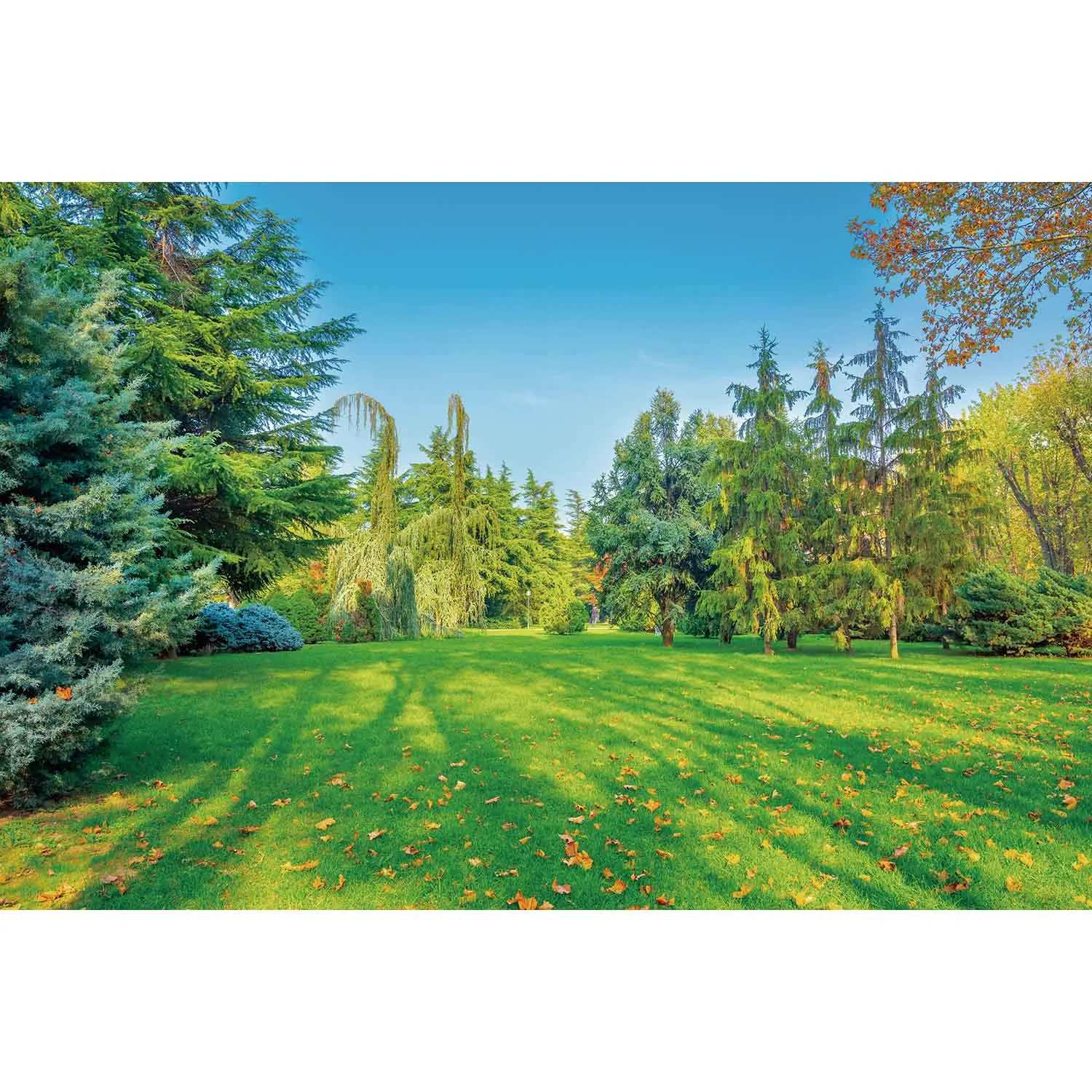 Spring Photography Backdrop Gre Forest Grass Gard Park Landscape Home ...