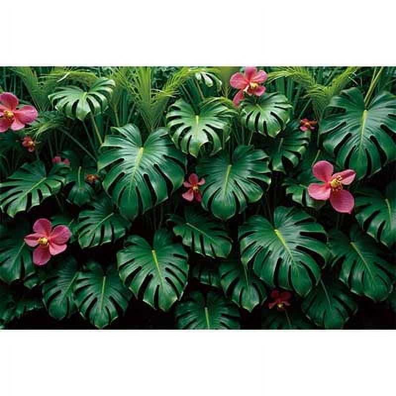 Spring Photography Backdrop Tropical Greery Leaves Grass Photo ...