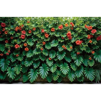 Spring Photography Backdrop Tropical Greery Leaves Grass Photo ...