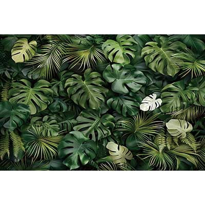 Spring Photography Backdrop Tropical Greery Leaves Grass Photo ...