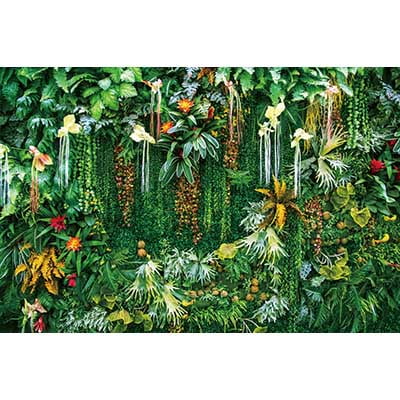 Spring Photography Backdrop Tropical Greery Leaves Grass Photo ...