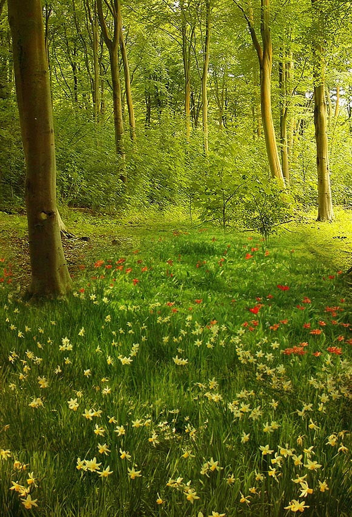 Spring Photography Backdrops Easter Grass Fairy Forest Cake Portrait ...