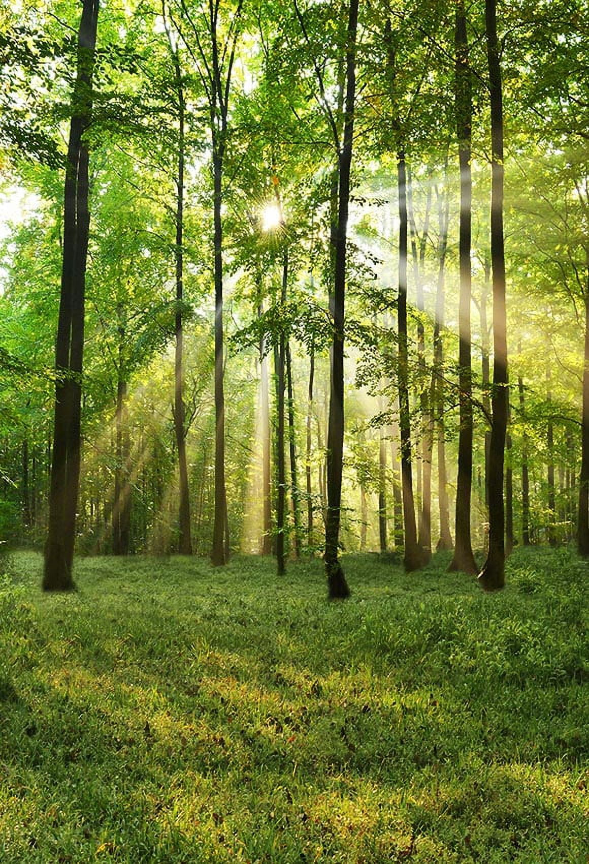 Spring Photography Backdrops Easter Grass Fairy Forest Cake Portrait ...