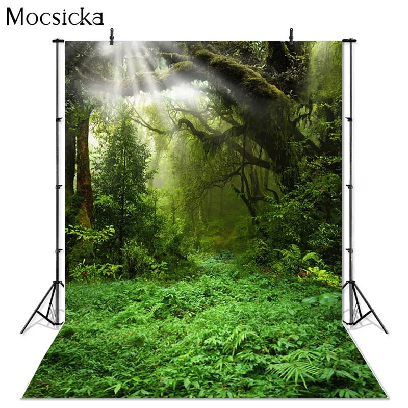 Spring Photography Background Sunshine Forest Green Trees Decoration ...