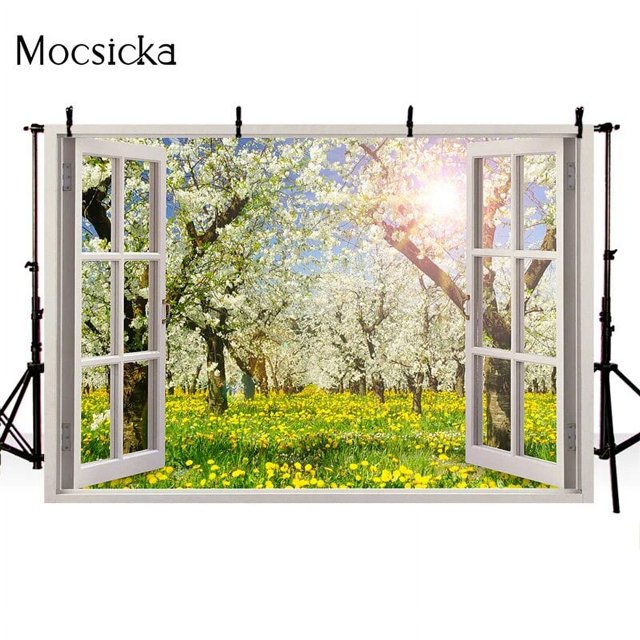Spring Photography Background Window Sunshine Decoration Studio Props ...