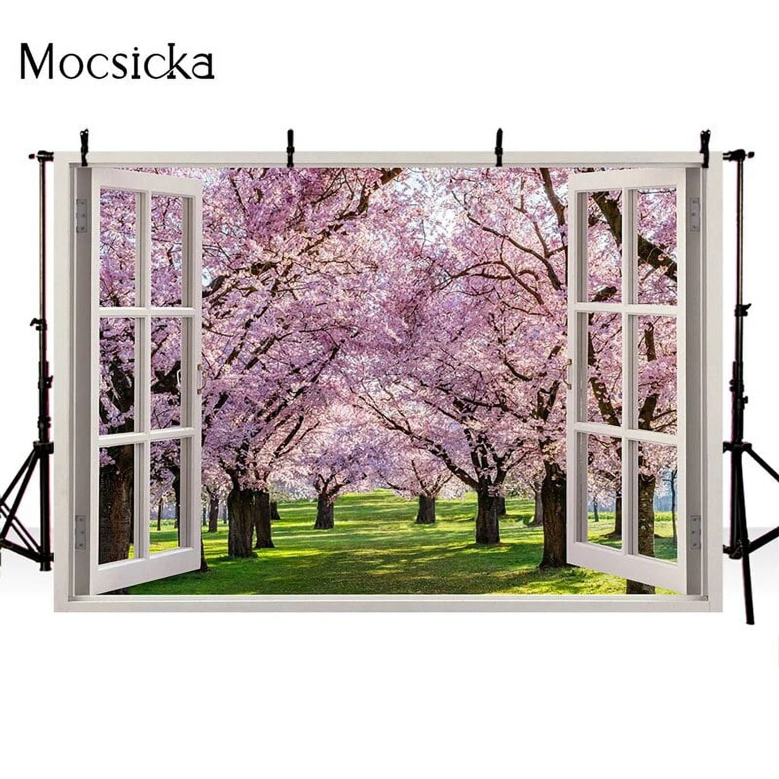 Spring Photography Background Window Sunshine Decoration Studio Props ...
