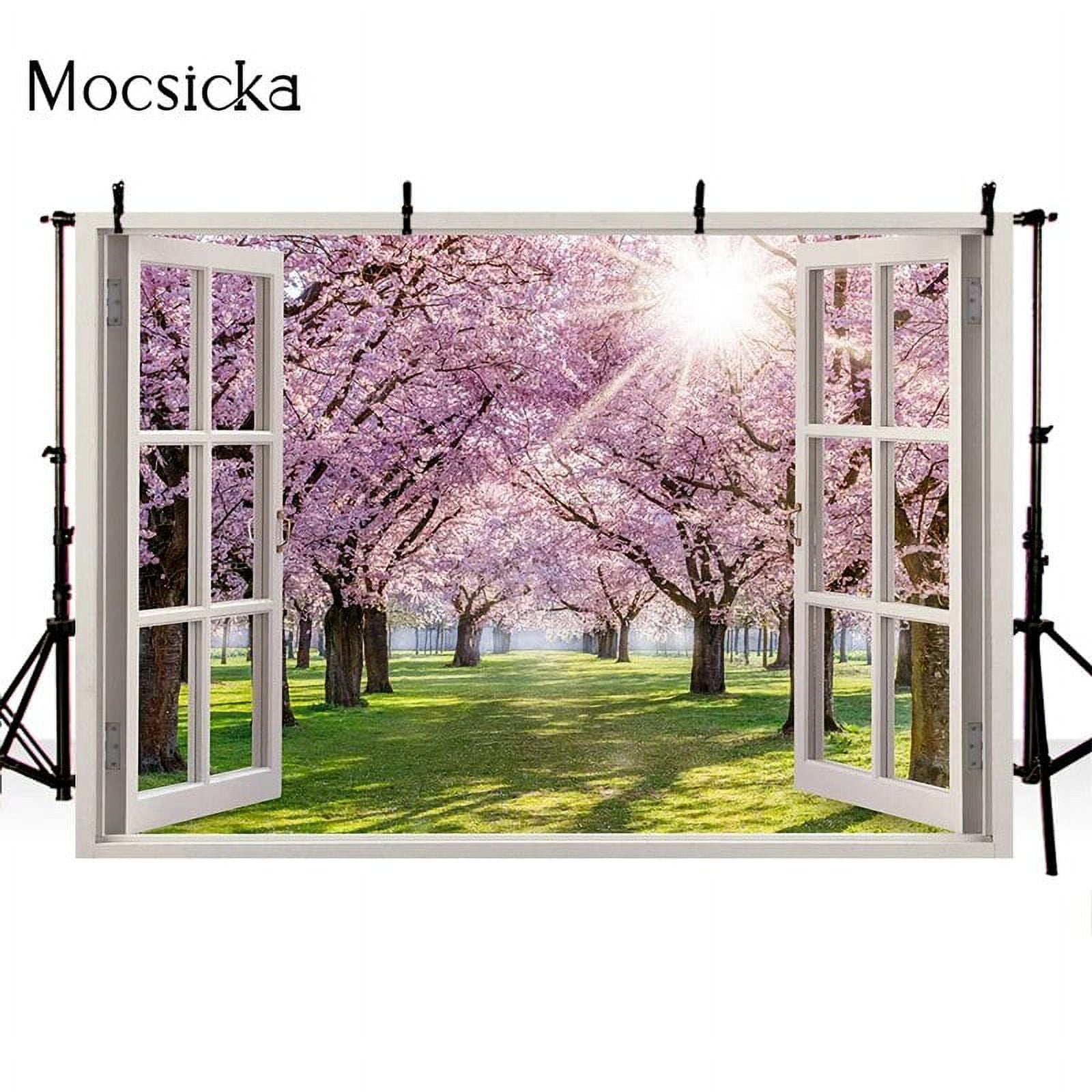 Spring Photography Background Window Sunshine Decoration Studio Props ...
