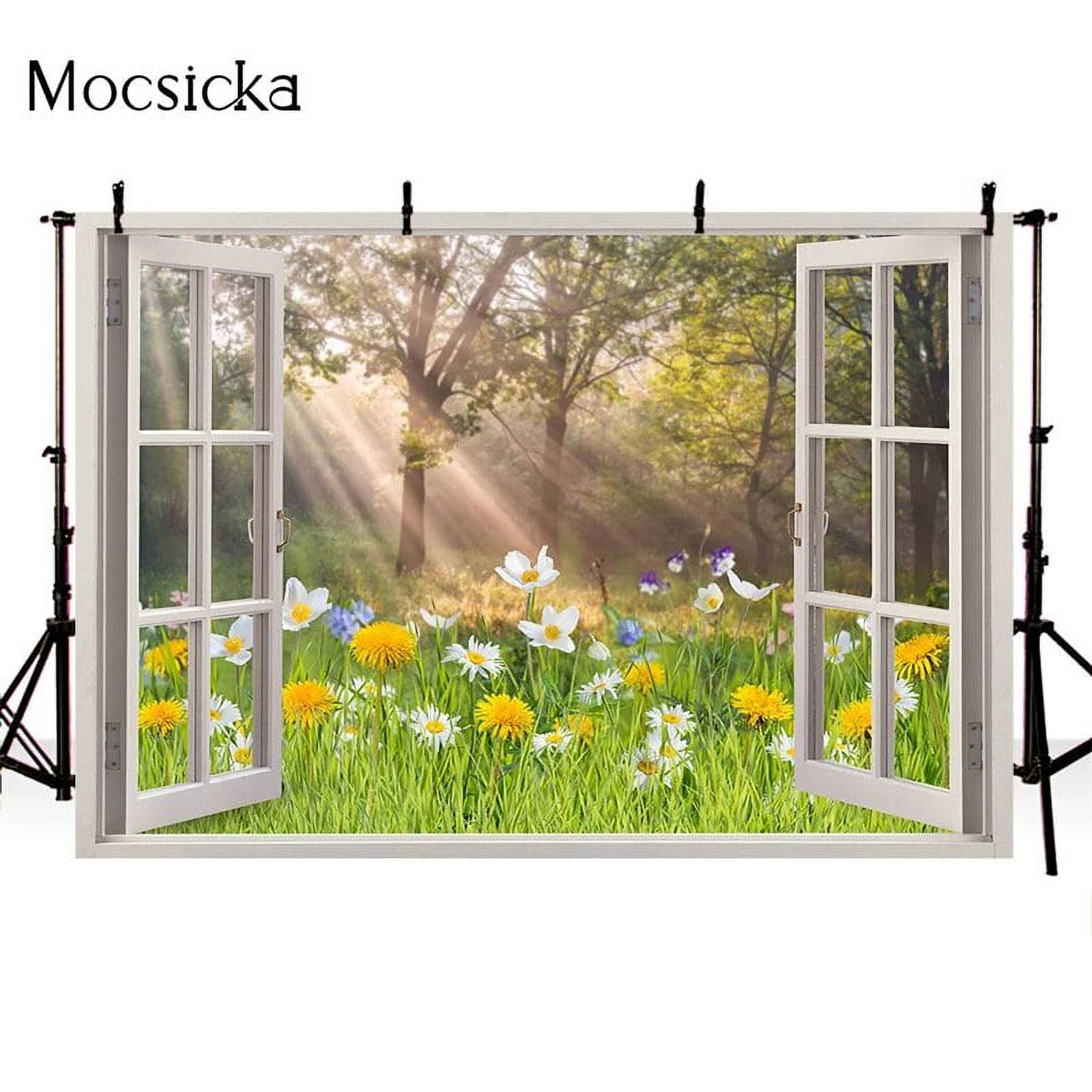 Spring Photography Background Window Sunshine Decoration Studio Props ...