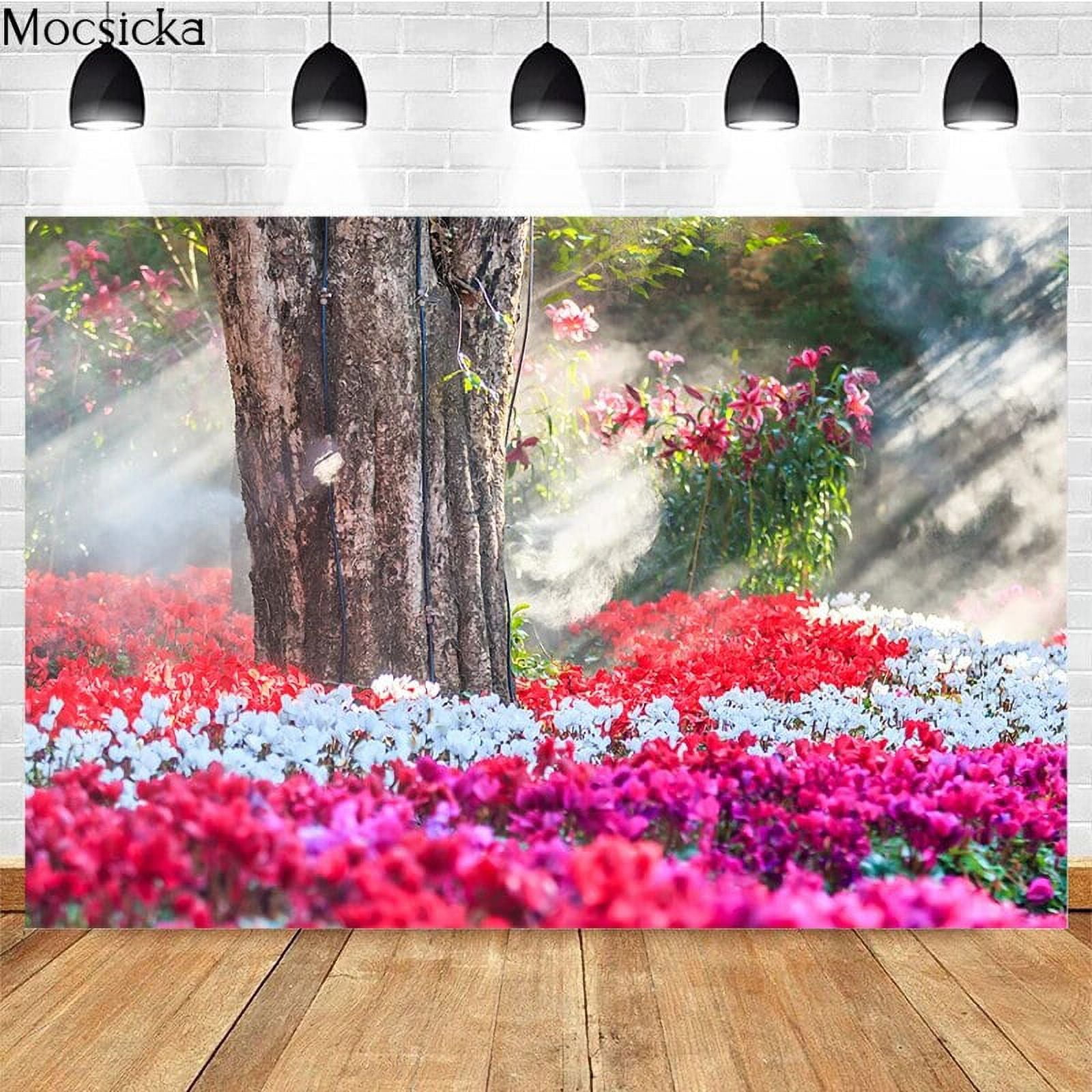 Spring Photography Background a Ray Of Sunshine Flowers Green Leaves ...