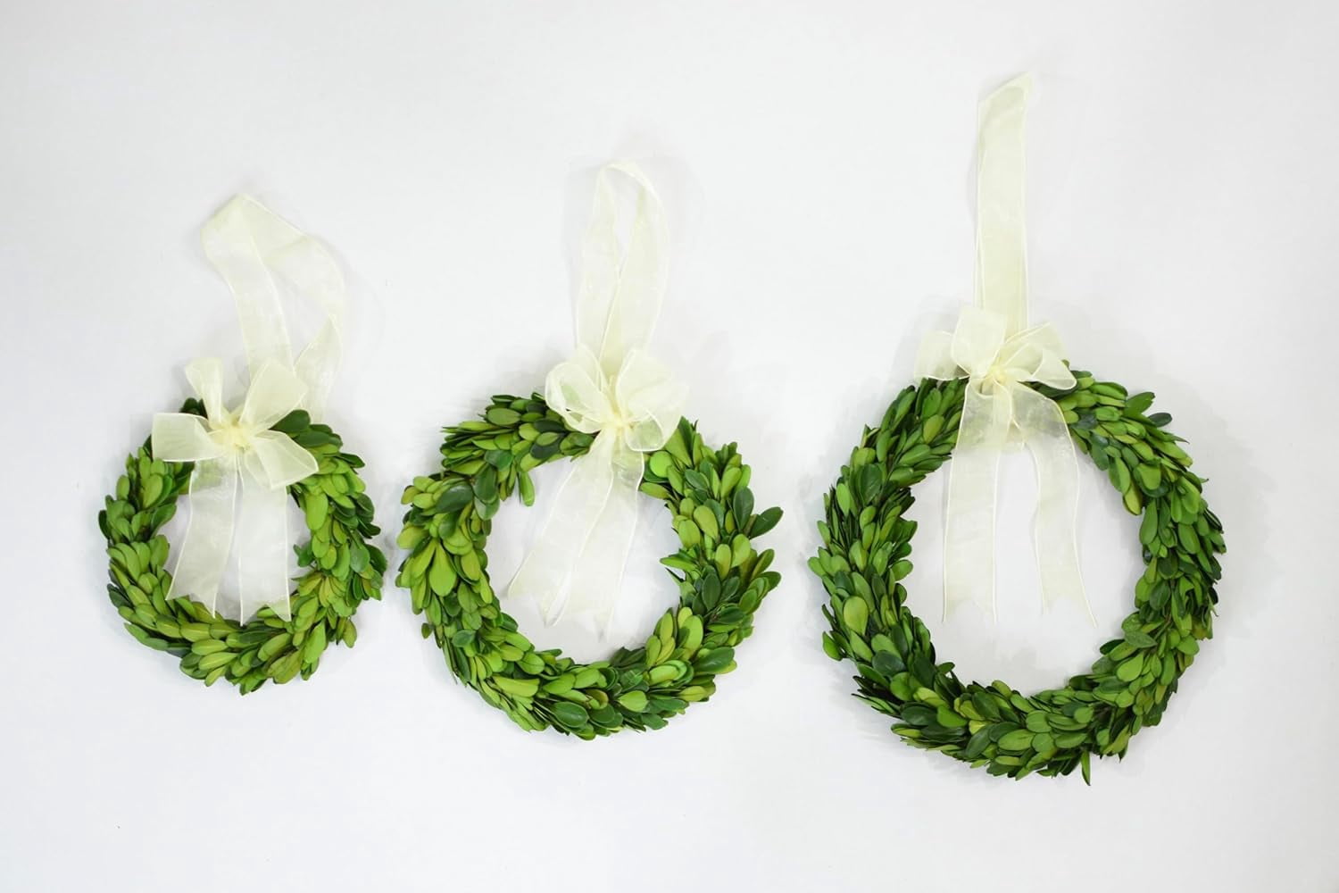 Spring Preserved Boxwood Wreath Set with Ribbon Bows – Indoor Decor (6 ...