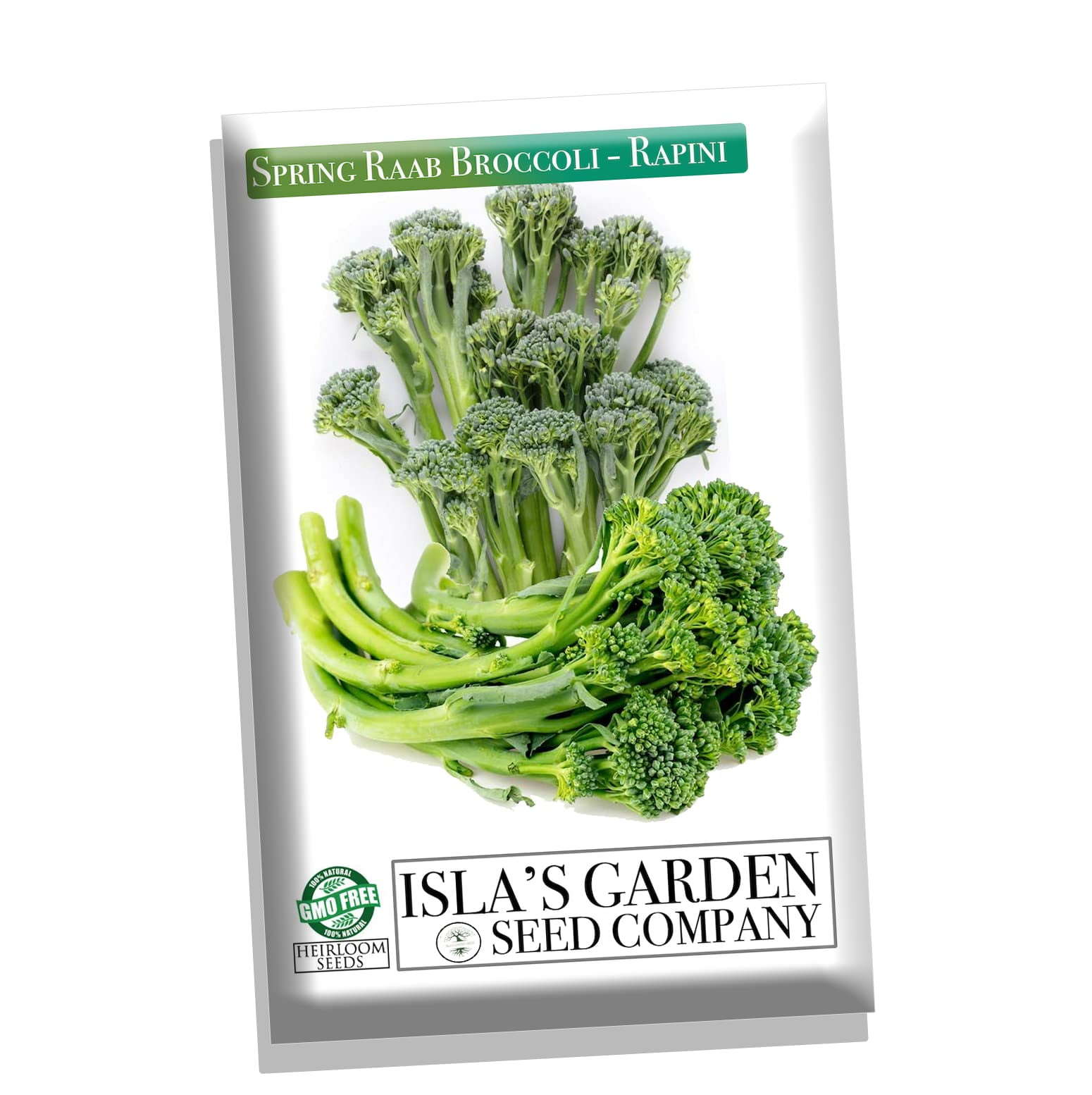 Spring Raab Rapini Broccoli Seeds, 300 Seeds MHD1Per Packet, Non GMO ...