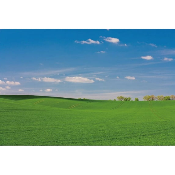 Spring Rural Countryside Grassland Landscape Photography Backdrops ...