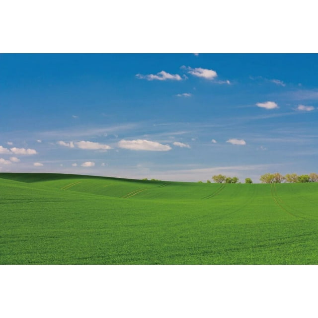 Spring Rural Countryside Grassland Landscape Photography Backdrops ...
