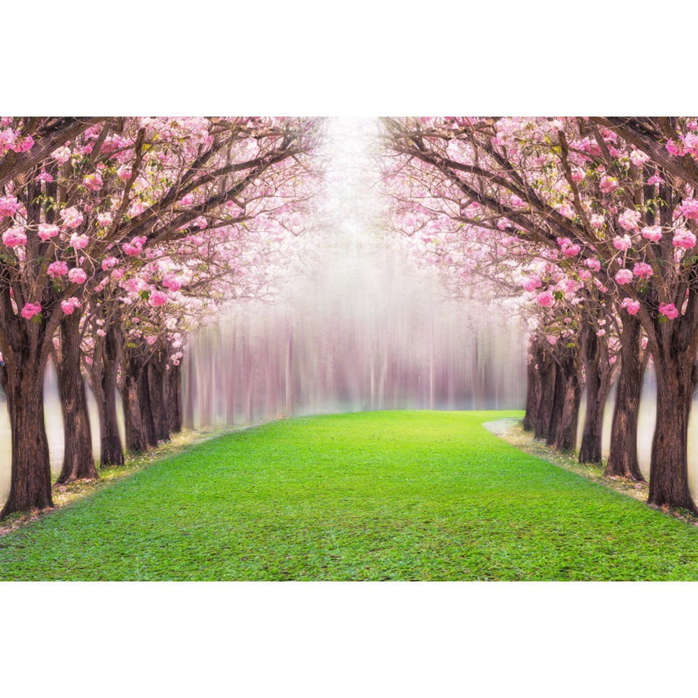 Spring Scenery Backdrop Forest Sunshine Flower Photography Background ...