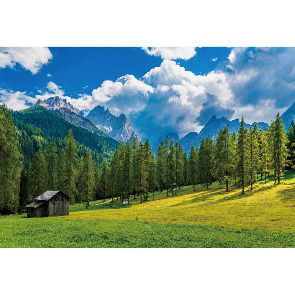 Spring Scenery Backdrop Forest Sunshine Flower Photography Background ...