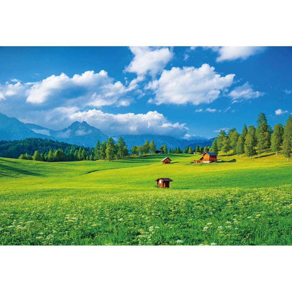 Spring Scenery Backdrop Forest Sunshine Flower Photography Background ...