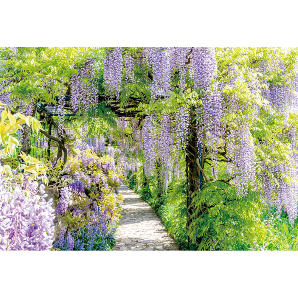 Spring Scenery Backdrop Forest Sunshine Flower Photography Background ...