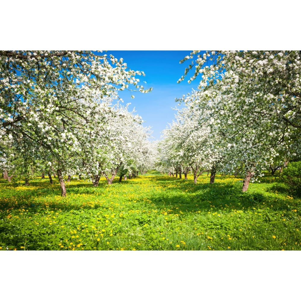 Spring Scenery Backdrop Forest Sunshine Flower Photography Background ...