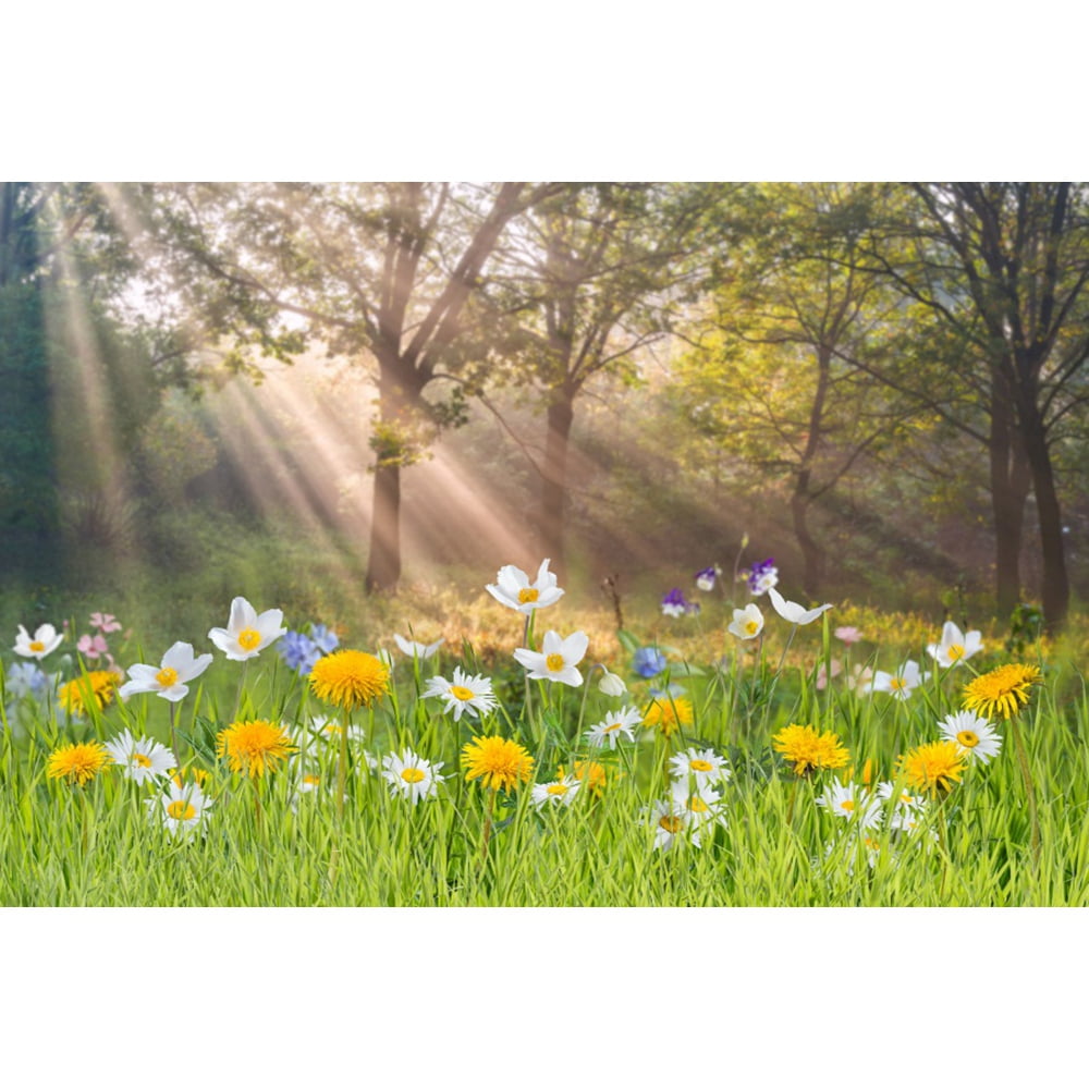 Spring Scenery Backdrop Forest Sunshine Flower Photography Background ...