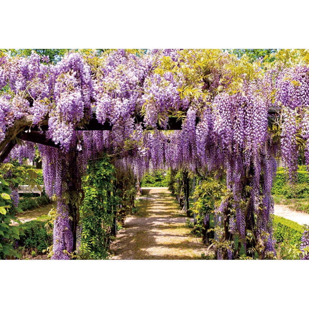 Spring Scenery Backdrop Forest Sunshine Flower Photography Background ...