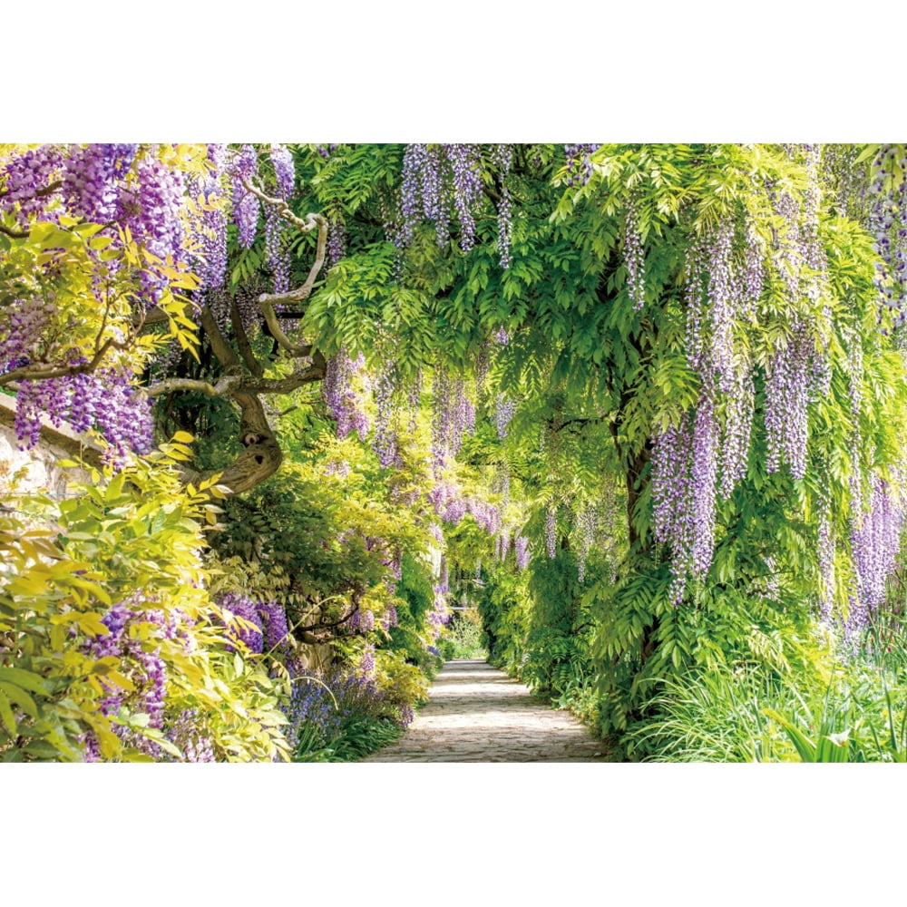 Spring Scenery Backdrop Forest Sunshine Flower Photography Background ...