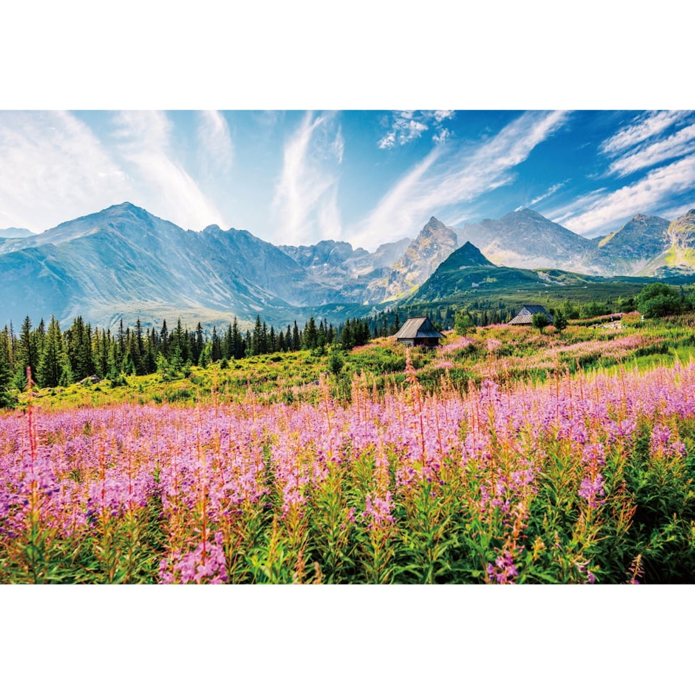 Spring Scenery Backdrop Forest Sunshine Flower Photography Background ...