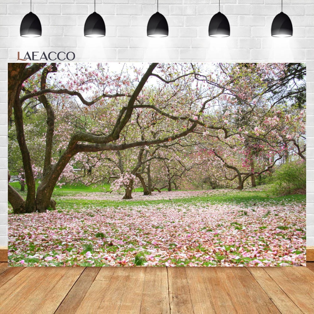 Spring Scenery Backdrop Rural Forest Trees Woodland Meadow Grass Flower ...