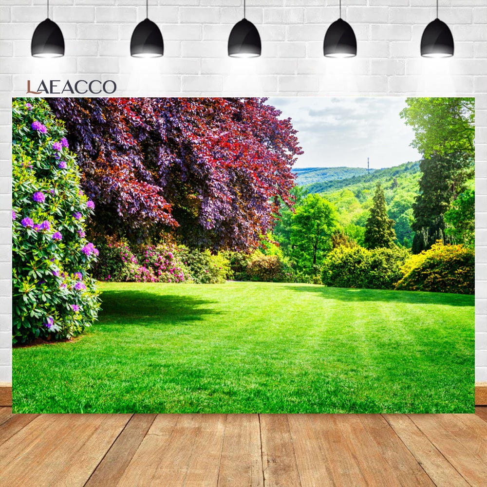 Spring Scenery Backdrop Rural Forest Trees Woodland Meadow Grass Flower ...