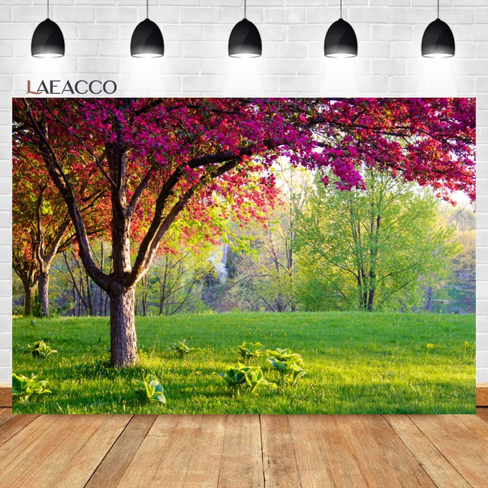Spring Scenery Backdrop Rural Forest Trees Woodland Meadow Grass Flower ...