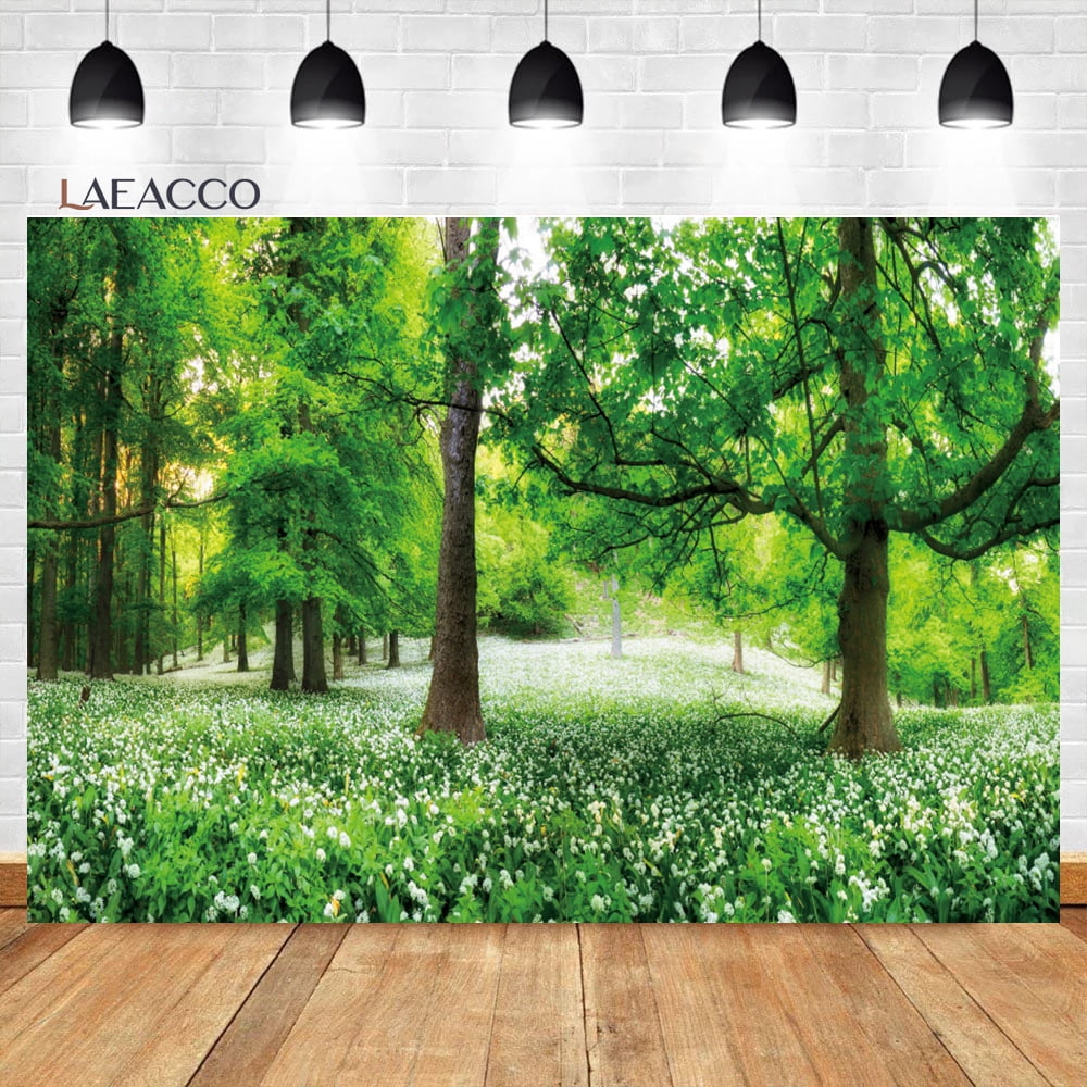 Spring Scenery Backdrop Rural Forest Trees Woodland Meadow Grass Flower ...