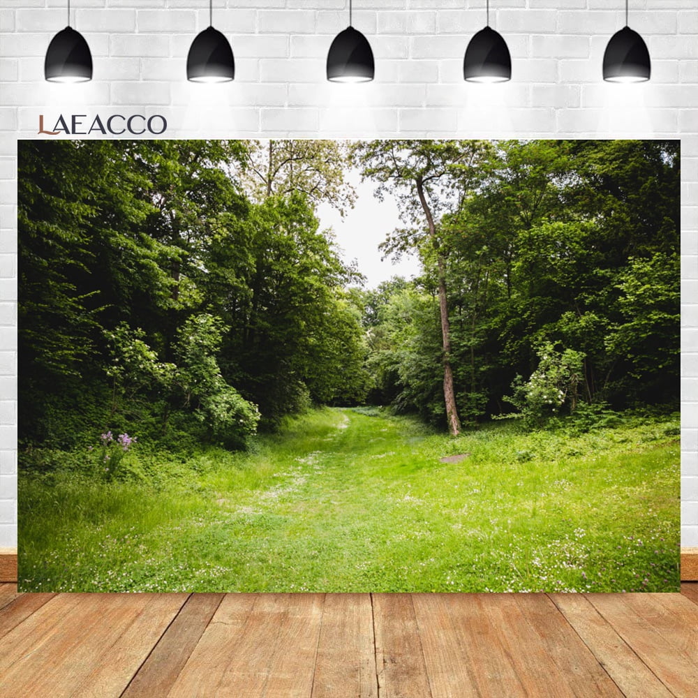 Spring Scenery Backdrop Rural Forest Trees Woodland Meadow Grass Flower ...