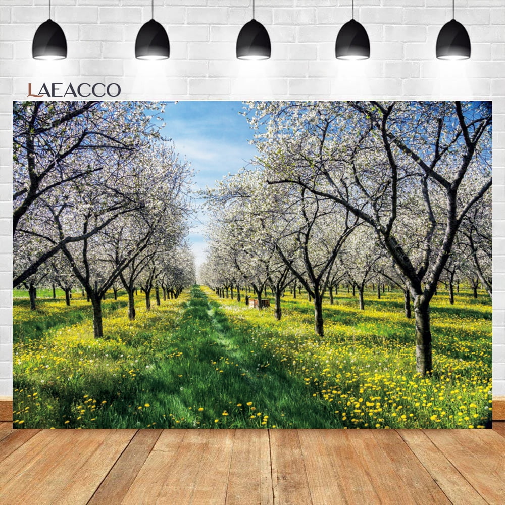 Spring Scenery Backdrop Rural Forest Trees Woodland Meadow Grass Flower ...