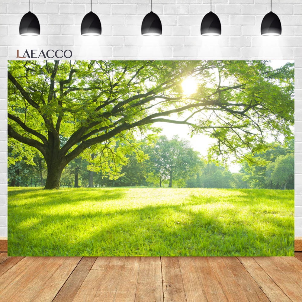 Spring Scenery Backdrop Rural Forest Trees Woodland Meadow Grass Flower ...