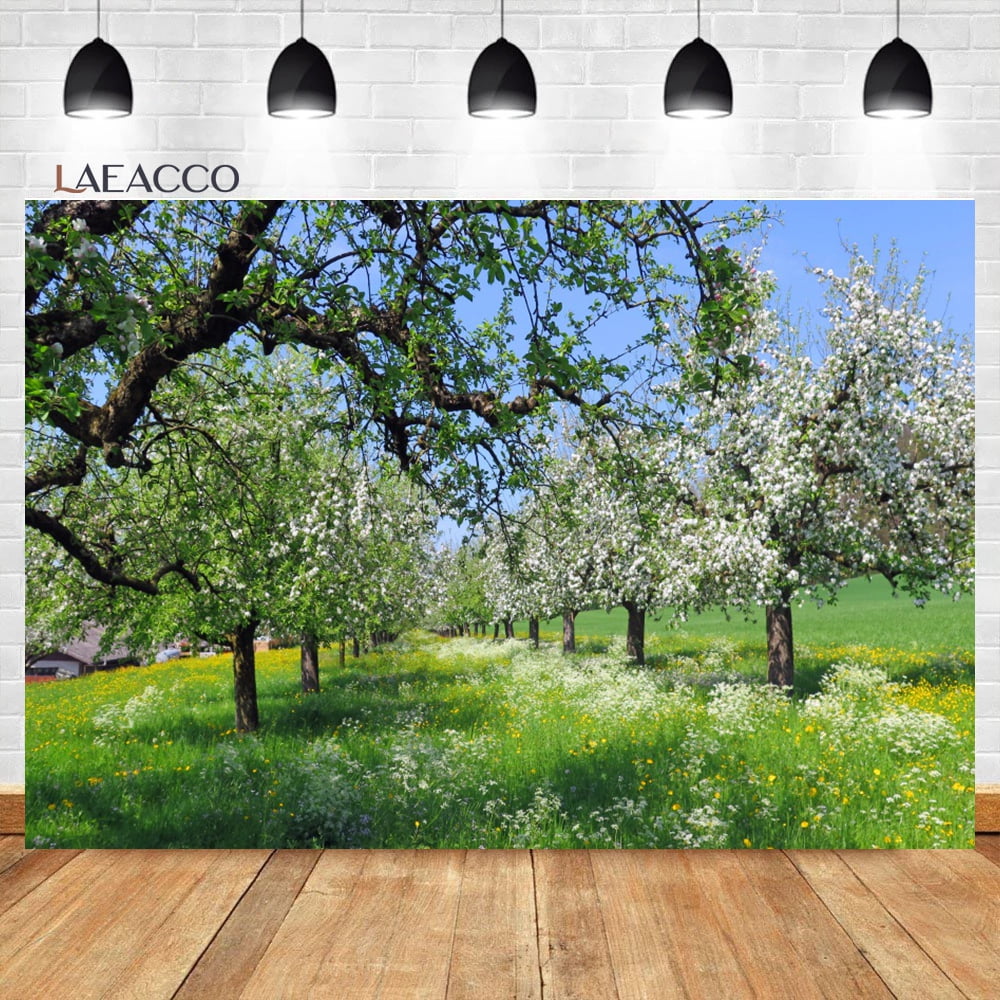 Spring Scenery Backdrop Rural Forest Trees Woodland Meadow Grass Flower ...