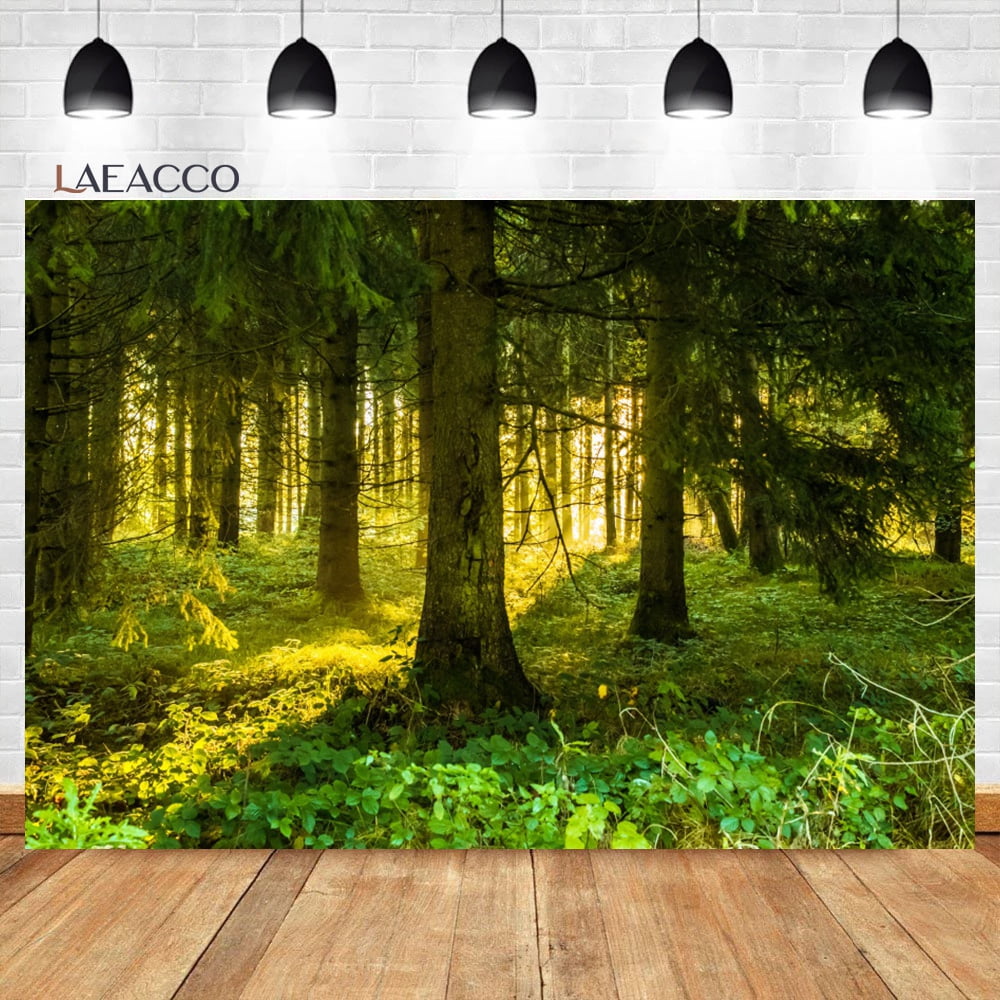 Spring Scenery Backdrop Rural Forest Trees Woodland Meadow Grass Flower ...