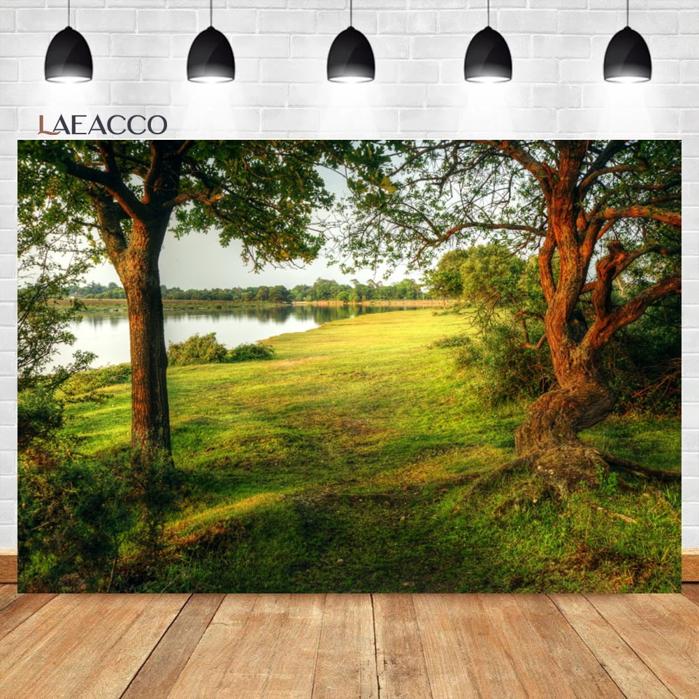 Spring Scenery Backdrop Rural Forest Trees Woodland Meadow Grass Flower ...