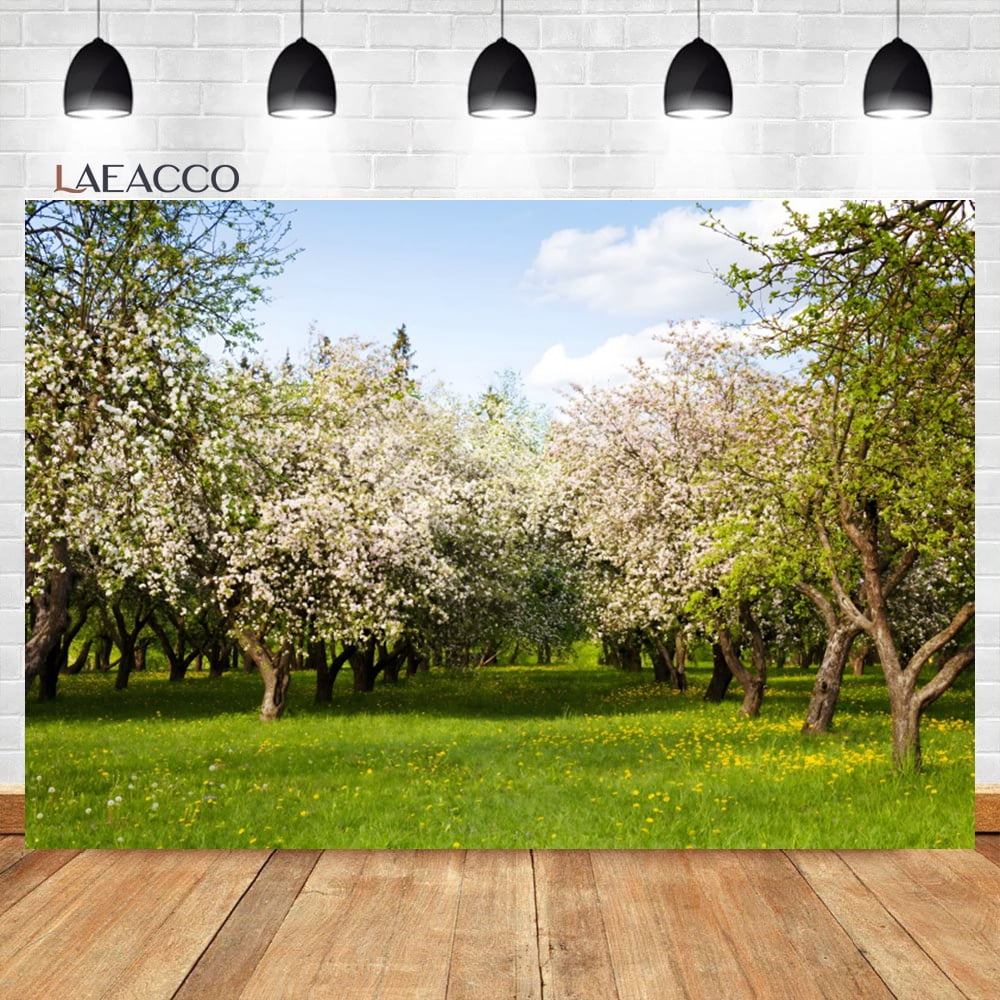 Spring Scenery Backdrop Rural Forest Trees Woodland Meadow Grass Flower ...