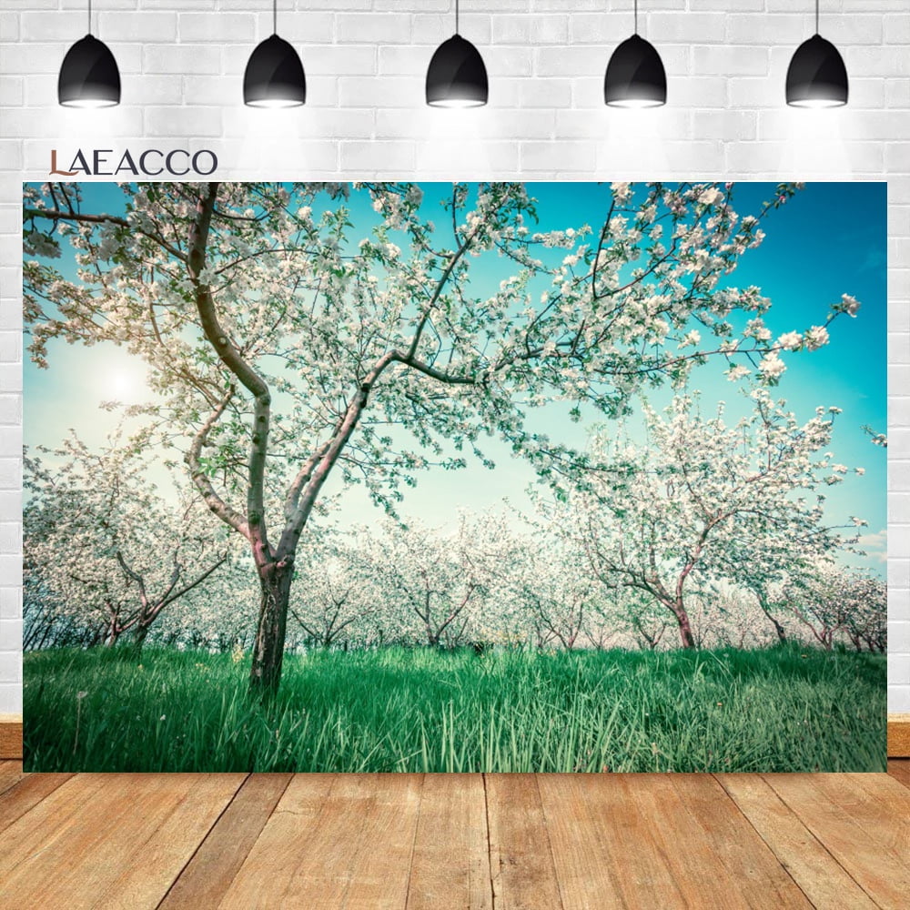 Spring Scenery Backdrop Rural Forest Trees Woodland Meadow Grass Flower ...