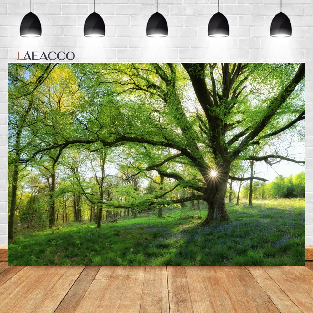 Spring Scenery Backdrop Rural Forest Trees Woodland Meadow Grass Flower ...