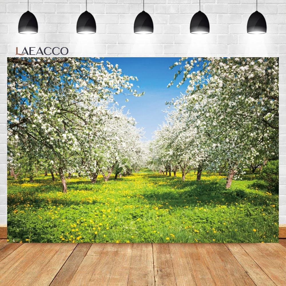 Spring Scenery Backdrop Rural Forest Trees Woodland Meadow Grass Flower ...