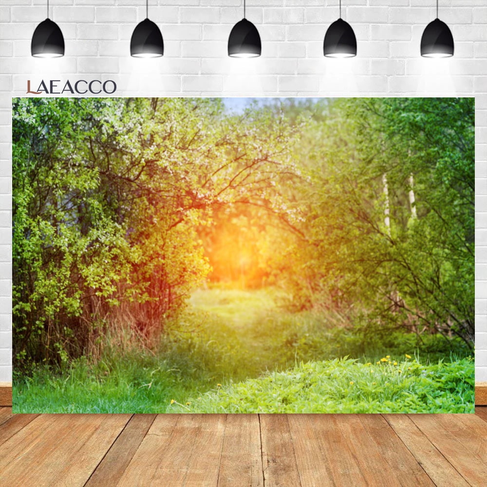 Spring Scenery Backdrop Rural Forest Trees Woodland Meadow Grass Flower ...